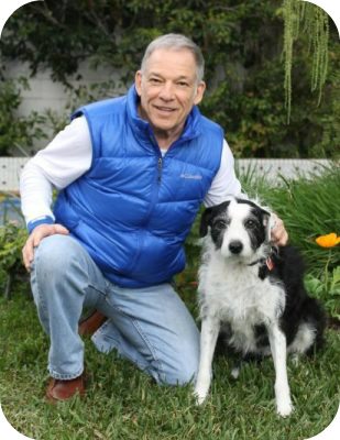 Dog Bite Consultation and Expert Witness Services